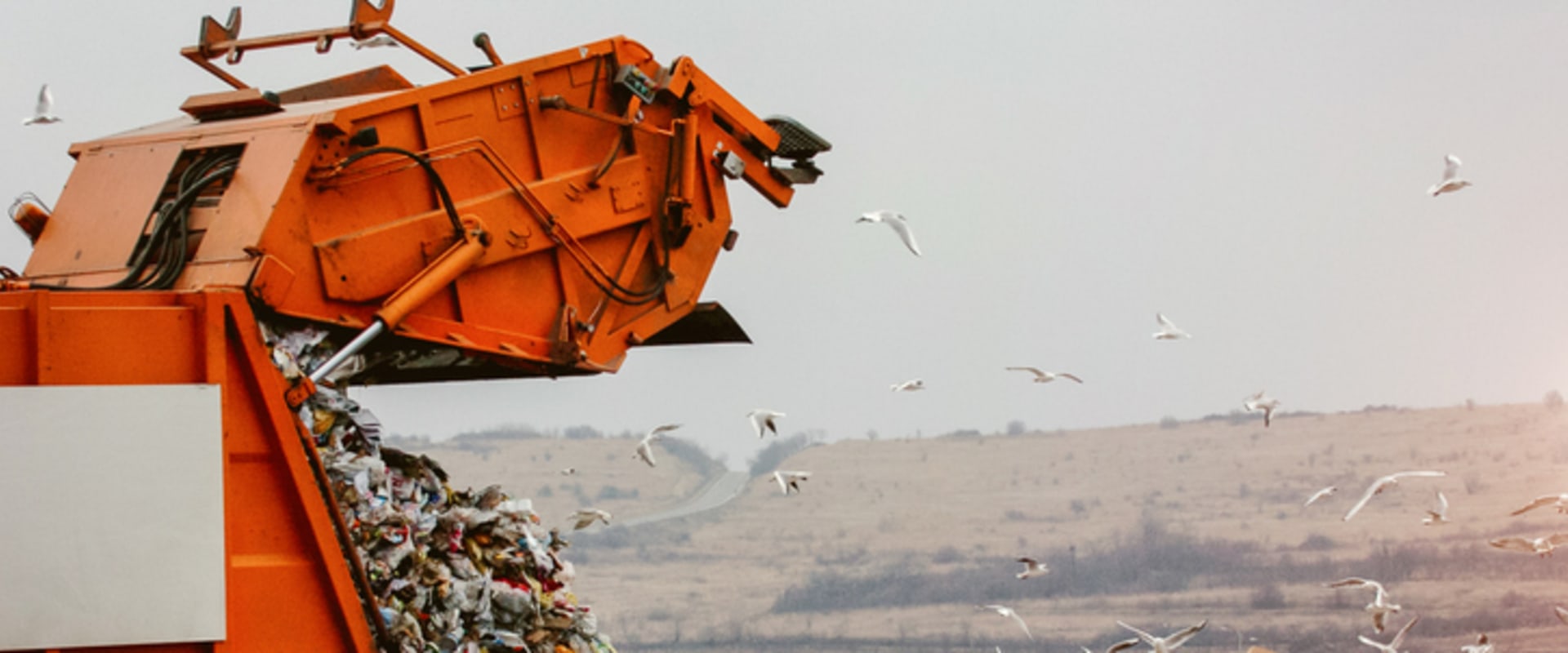 The Consequences of Improper Recycling in Weld County, Colorado